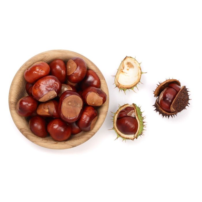 Buy Chestnut 500g Online in Dubai, Sharjah, Abu Dhabi, Ajman, Al Ain ...