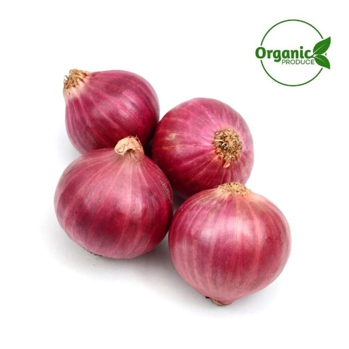 Onion Red Organic 450-500g