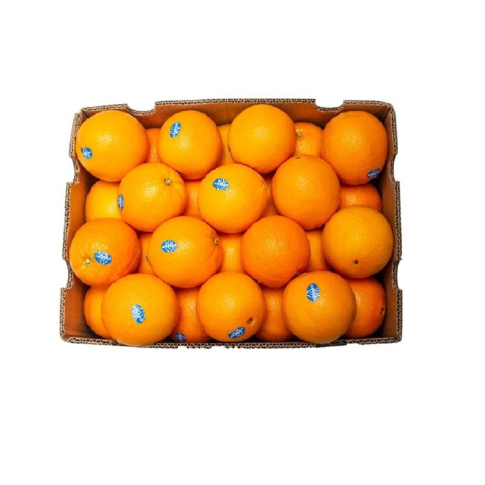 Buy Orange Navel Box Online at Best Price in UAE