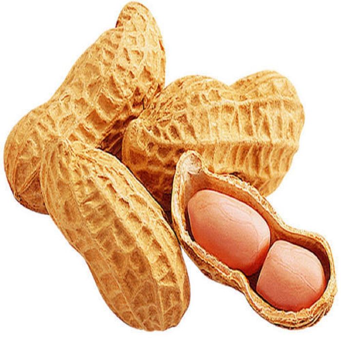 Buy Peanuts With Shell Online in Dubai, Sharjah, Abu Dhabi, Ajman, Al ...