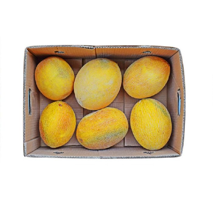 Buy Sweet Melon 10kg Online at Best Price in UAE